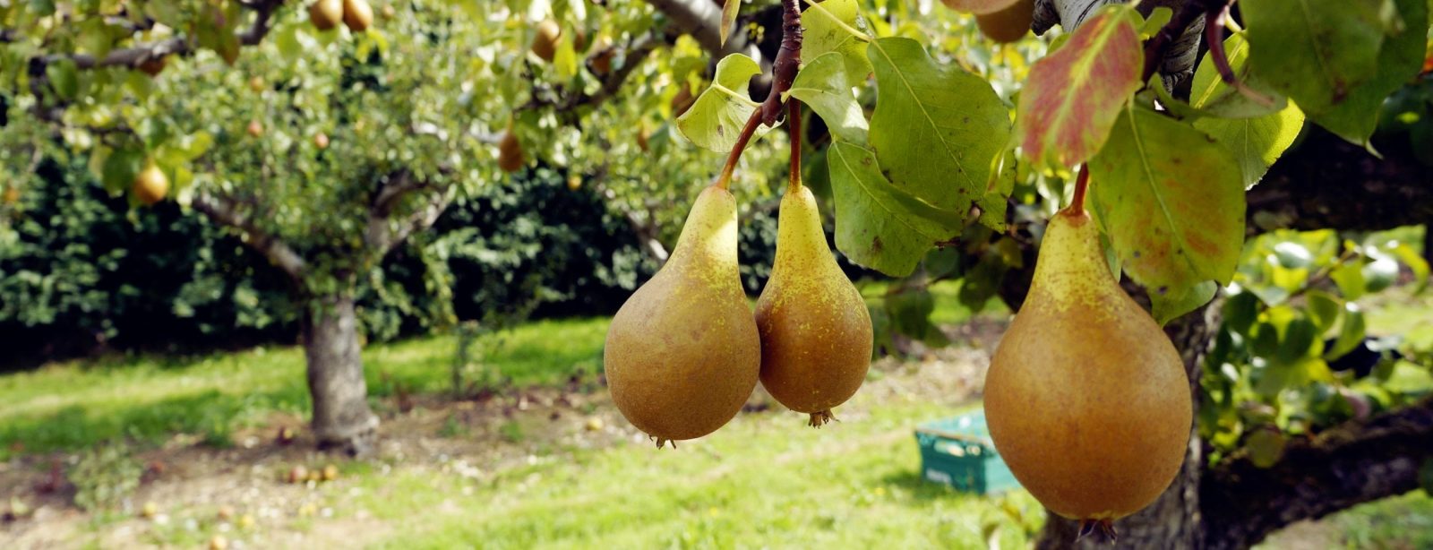 Tristram Stuart Just Joined an Exciting New Food Waste Fighting ...