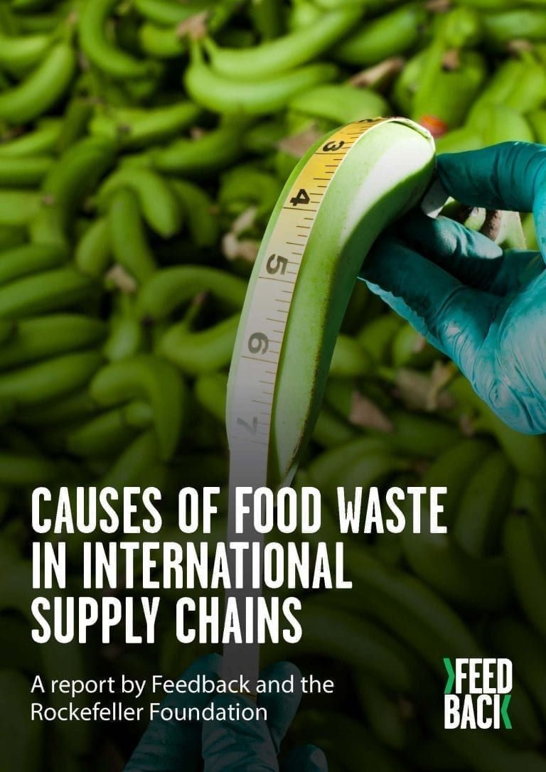 Causes of food waste in international supply chains - Foodrise