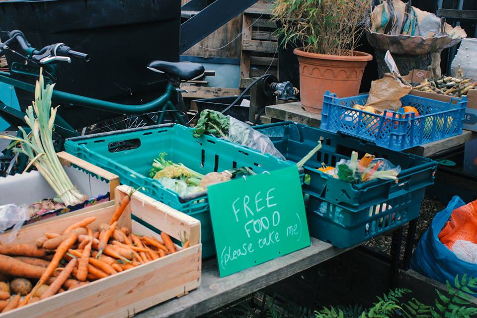 Where and how can I donate my surplus food? - Foodrise