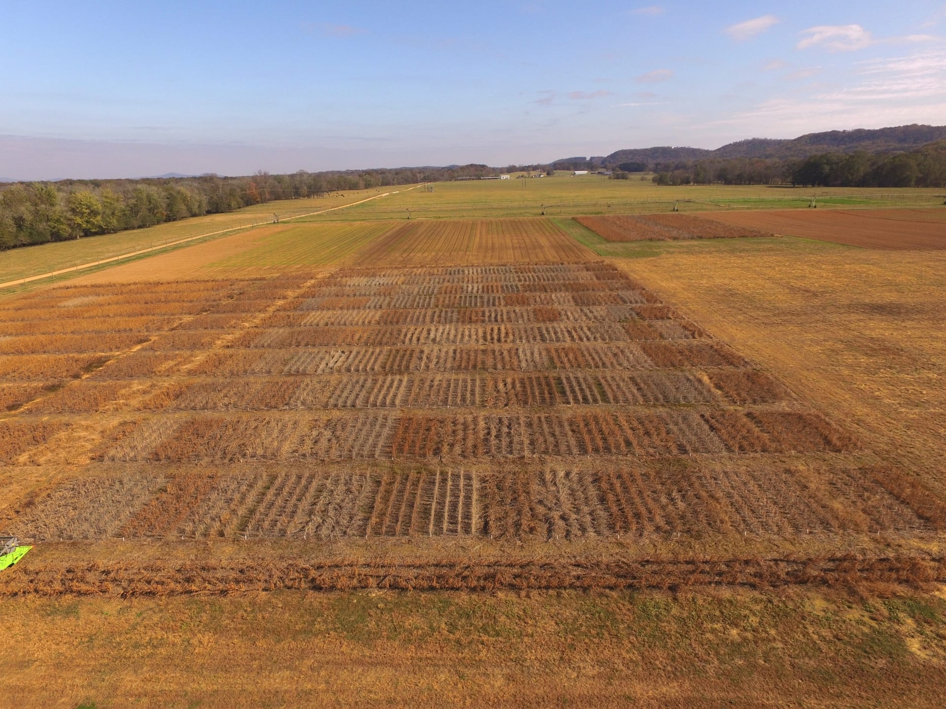 Fields of gold? - Foodrise