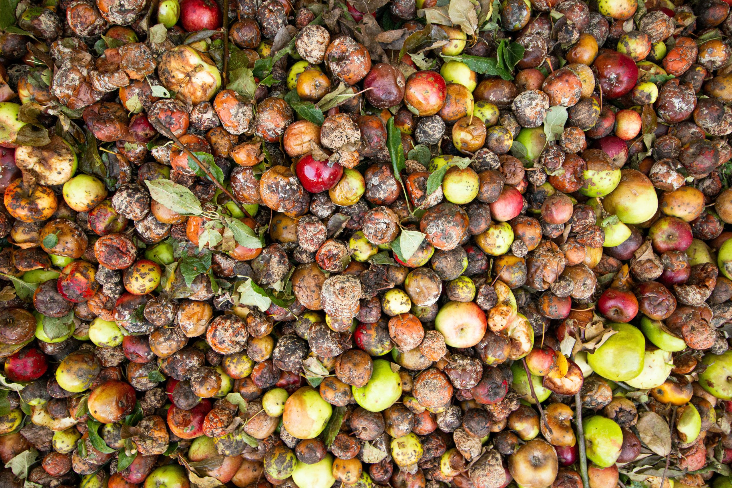 Defra faces threat of legal action over its u-turn on food waste law ...